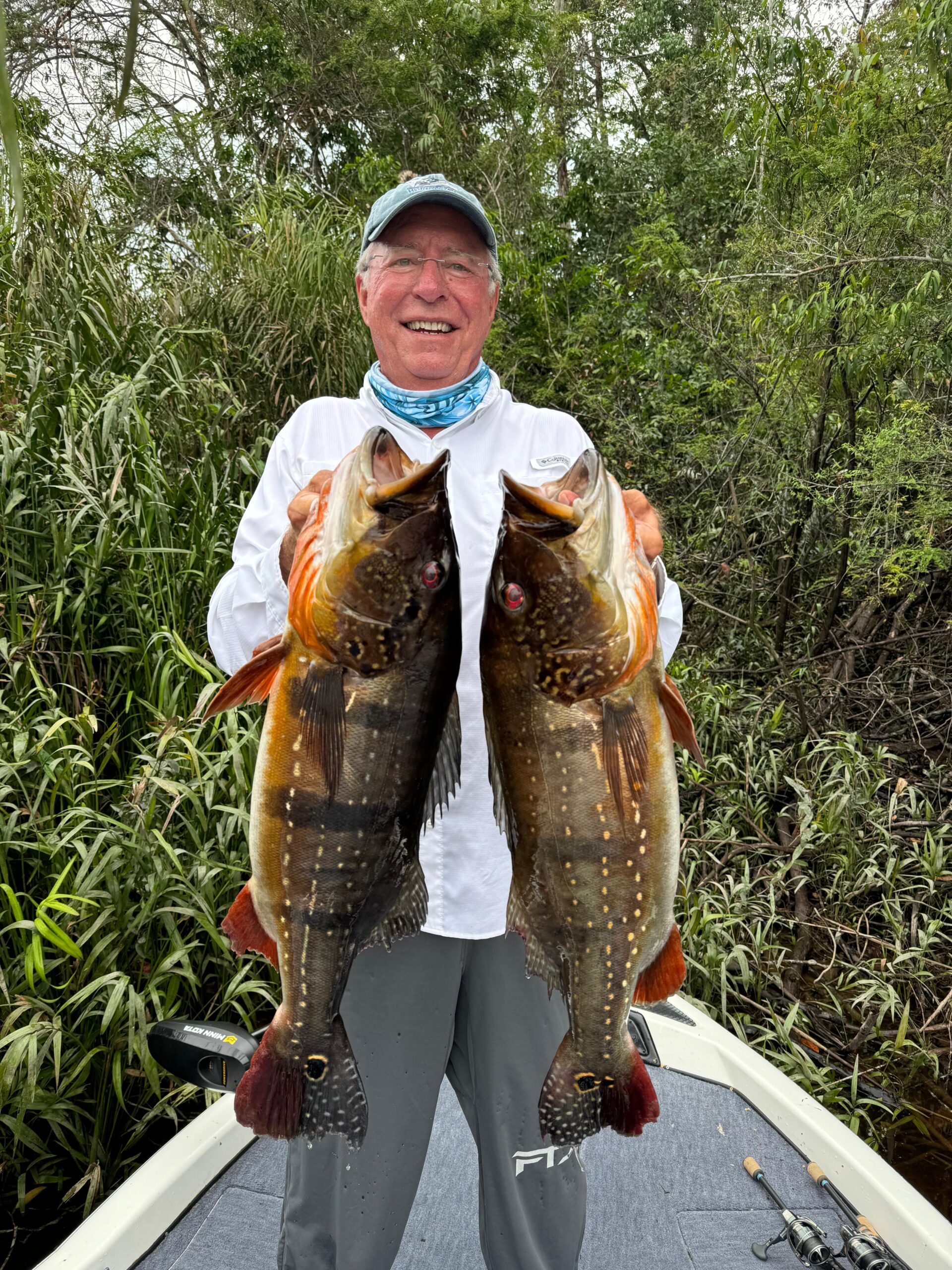 Home - amazonhawghunter.peacockrivermasters.com